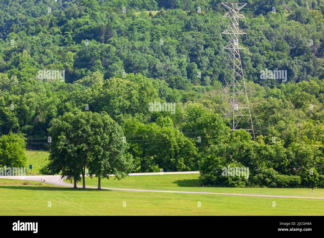 Lush green trees in an open meadow with tree covered hills and a partly ...