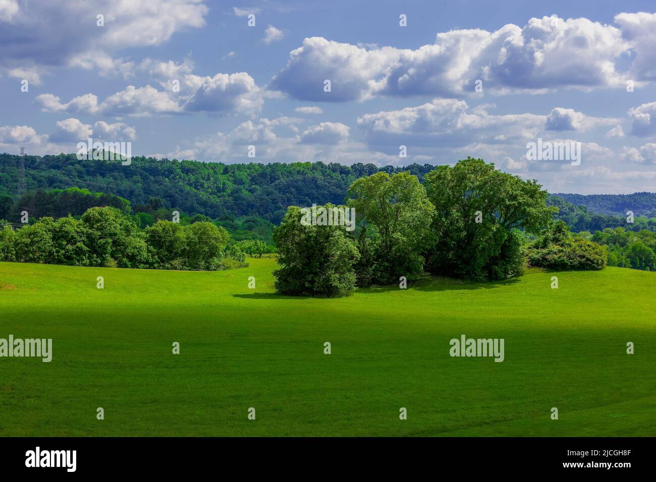 Lush green trees in an open meadow with tree covered hills and a partly ...
