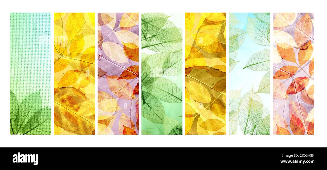 Set of vertical or horizontal vintage nature banners with autumn leaves ...