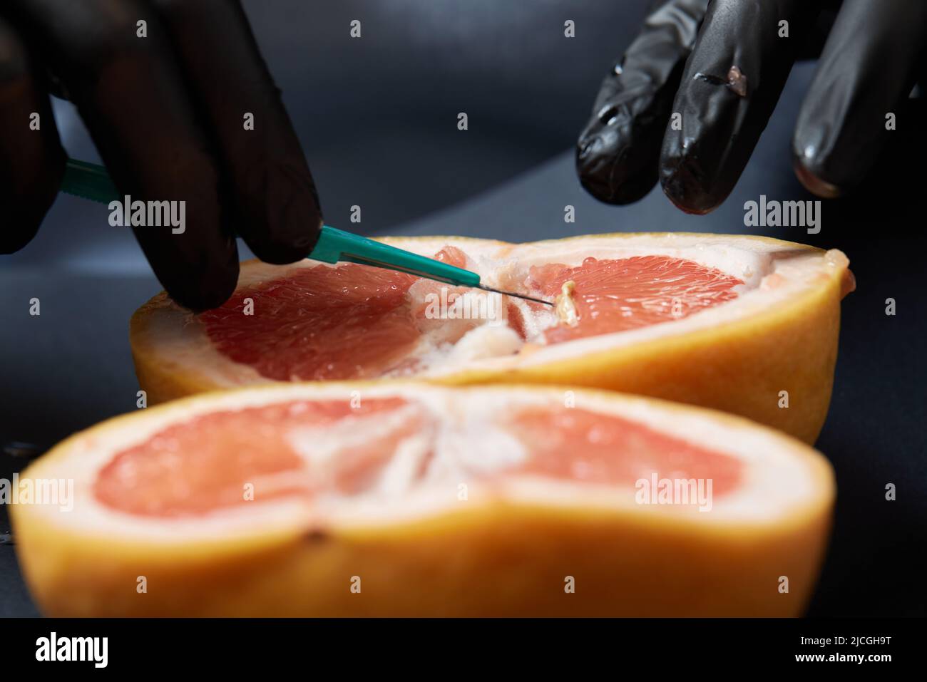 Food testing in the laboratory. The lab technician prepares a sample ...