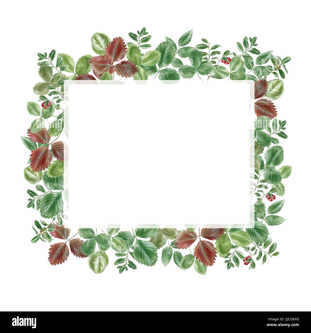 Rectangular floral frame illustration hi-res stock photography and ...