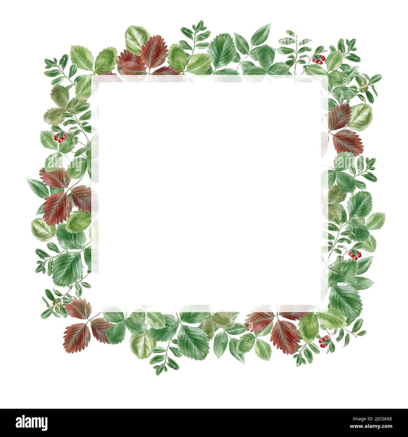 Square frame tropical leaves Cut Out Stock Images & Pictures - Alamy