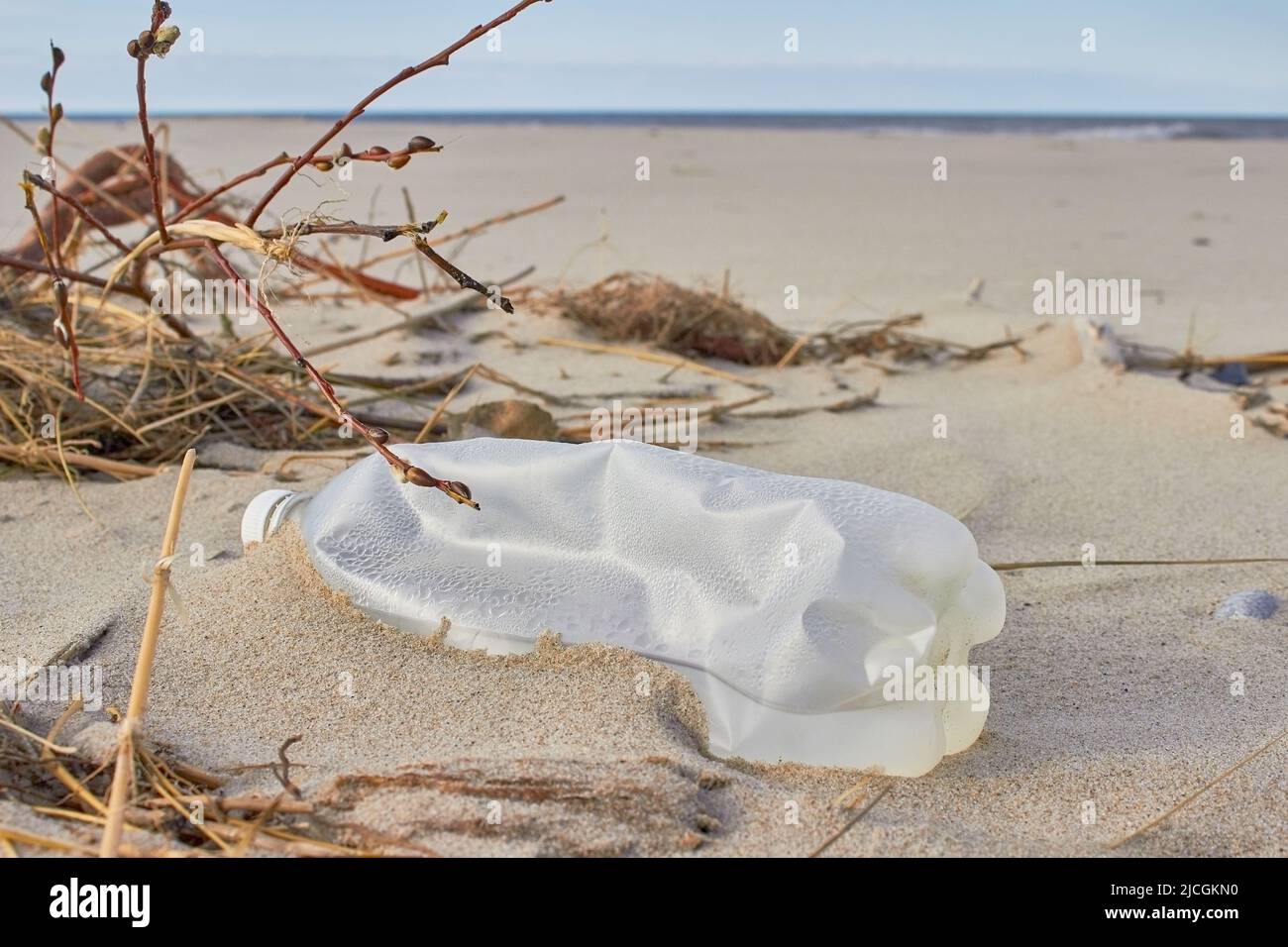 A plastic bottle on a sandy beach among the garbage dumped by the sea ...