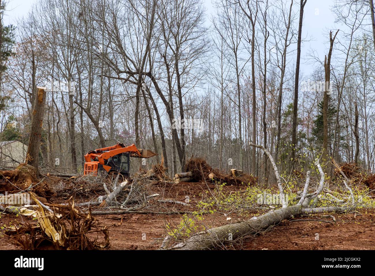 Excavator uprooting trees on land in bulldozer clearing land from trees ...