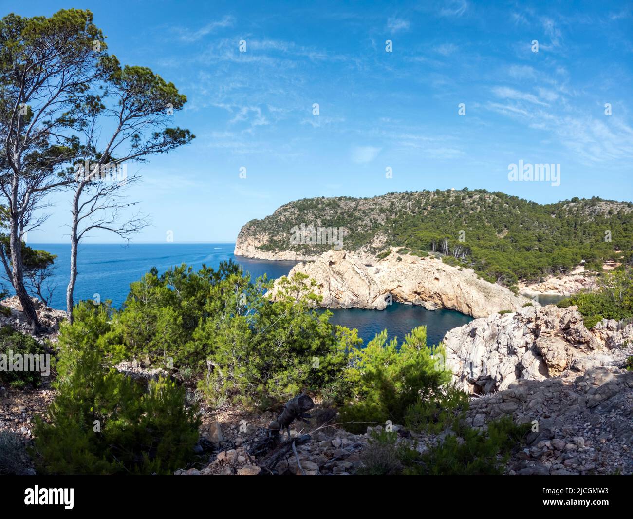 Calo den Monjo virgin, u-shaped sea inlet and cove, cliffs and pine ...