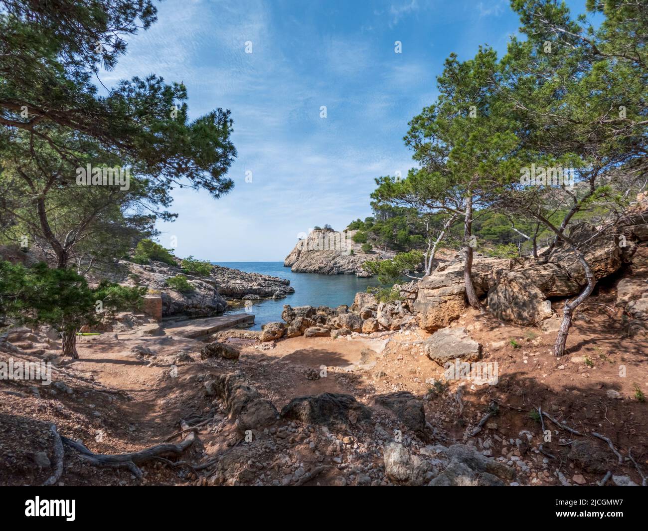 Calo den Monjo virgin, u-shaped sea inlet and cove, cliffs and pine ...