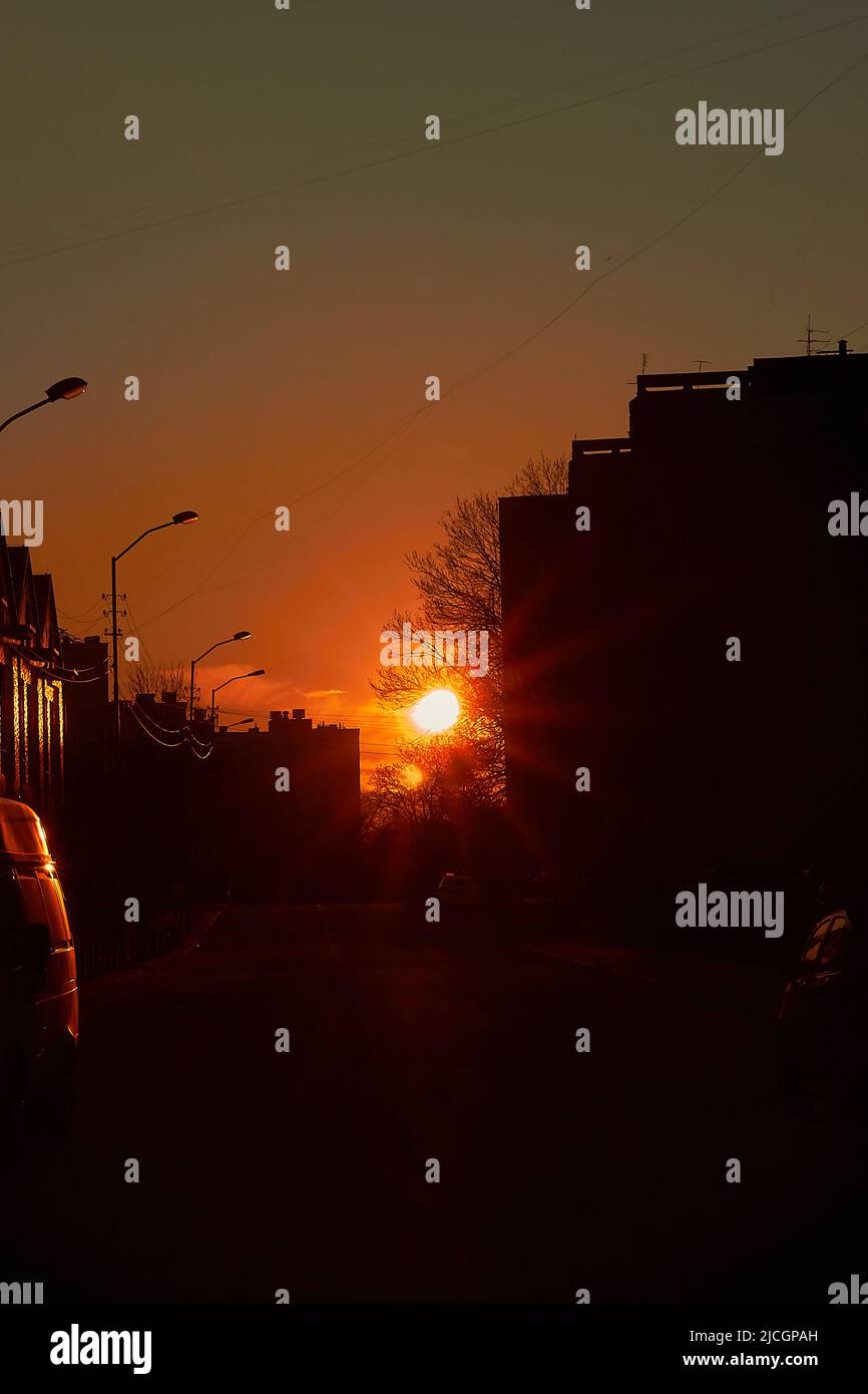 Sunset in the city. Urban landscape. Street lights in scarlet backlight ...