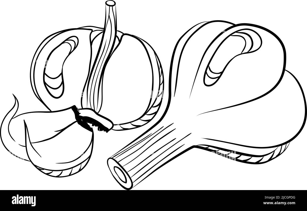 Garlic cloves on white background Stock Vector Images - Alamy