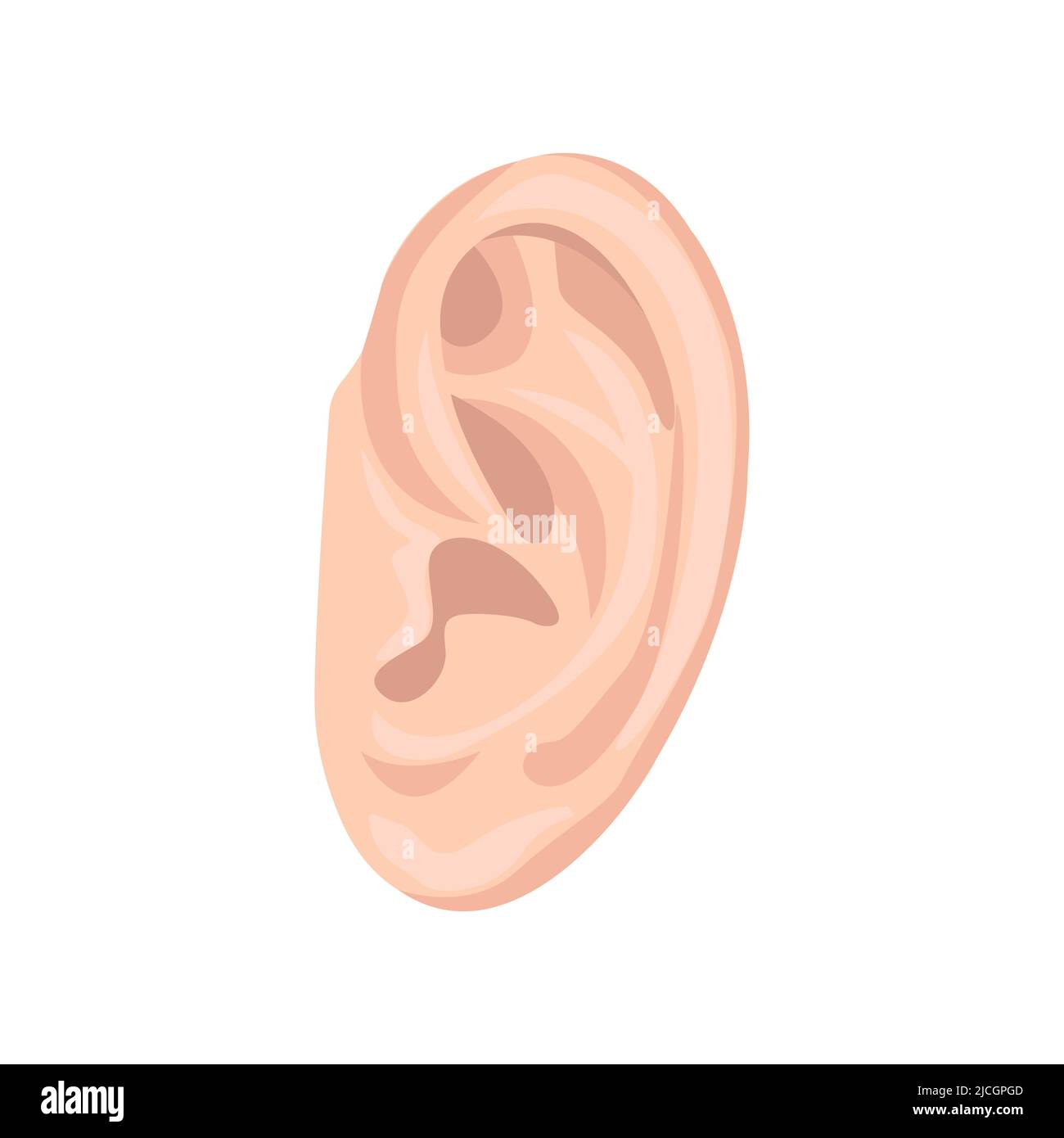 Human ear flat icon. Colored vector element from body parts collection ...