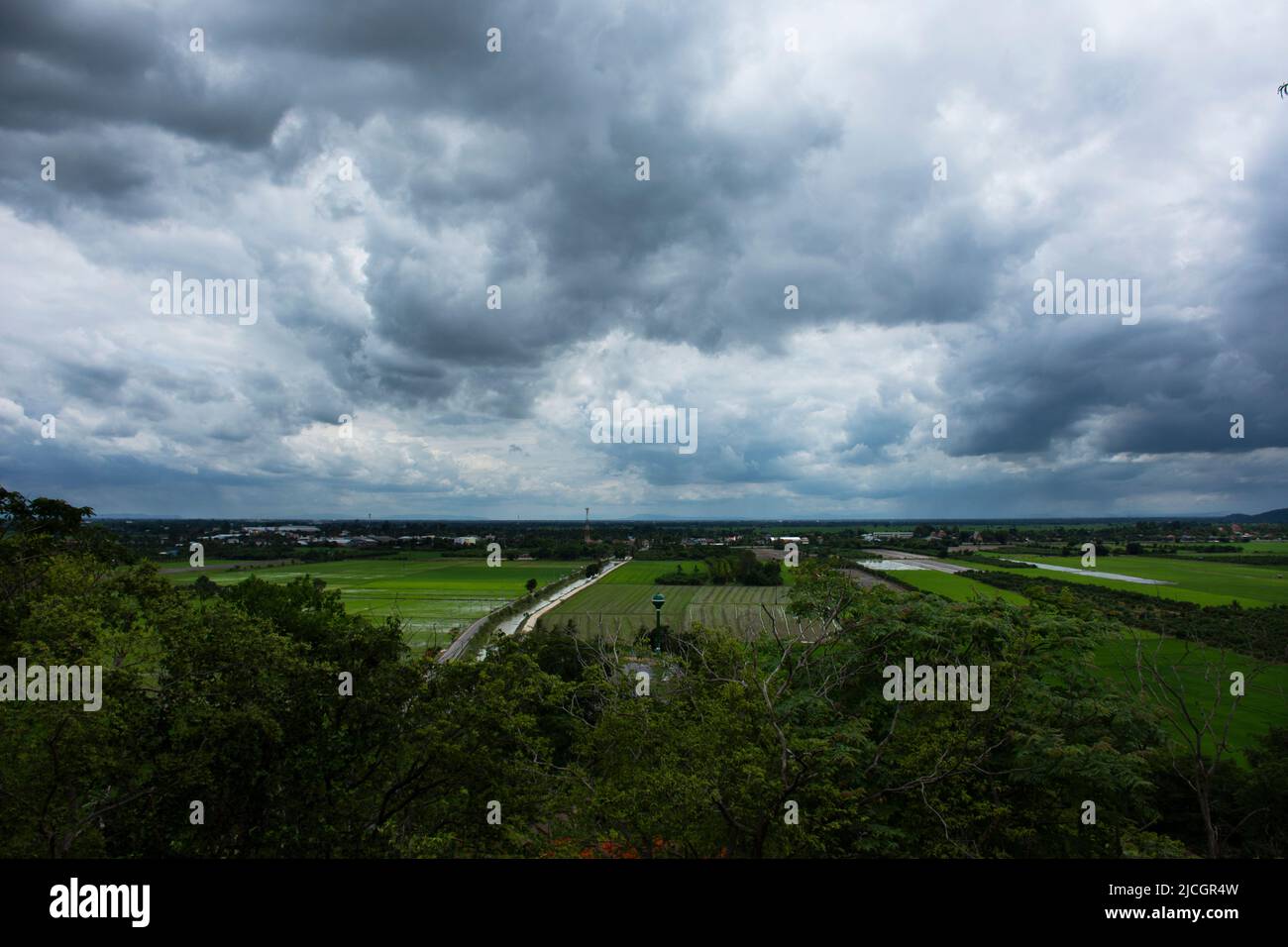Aerial view landscape and rice field or paddy land from viewpoint of ...