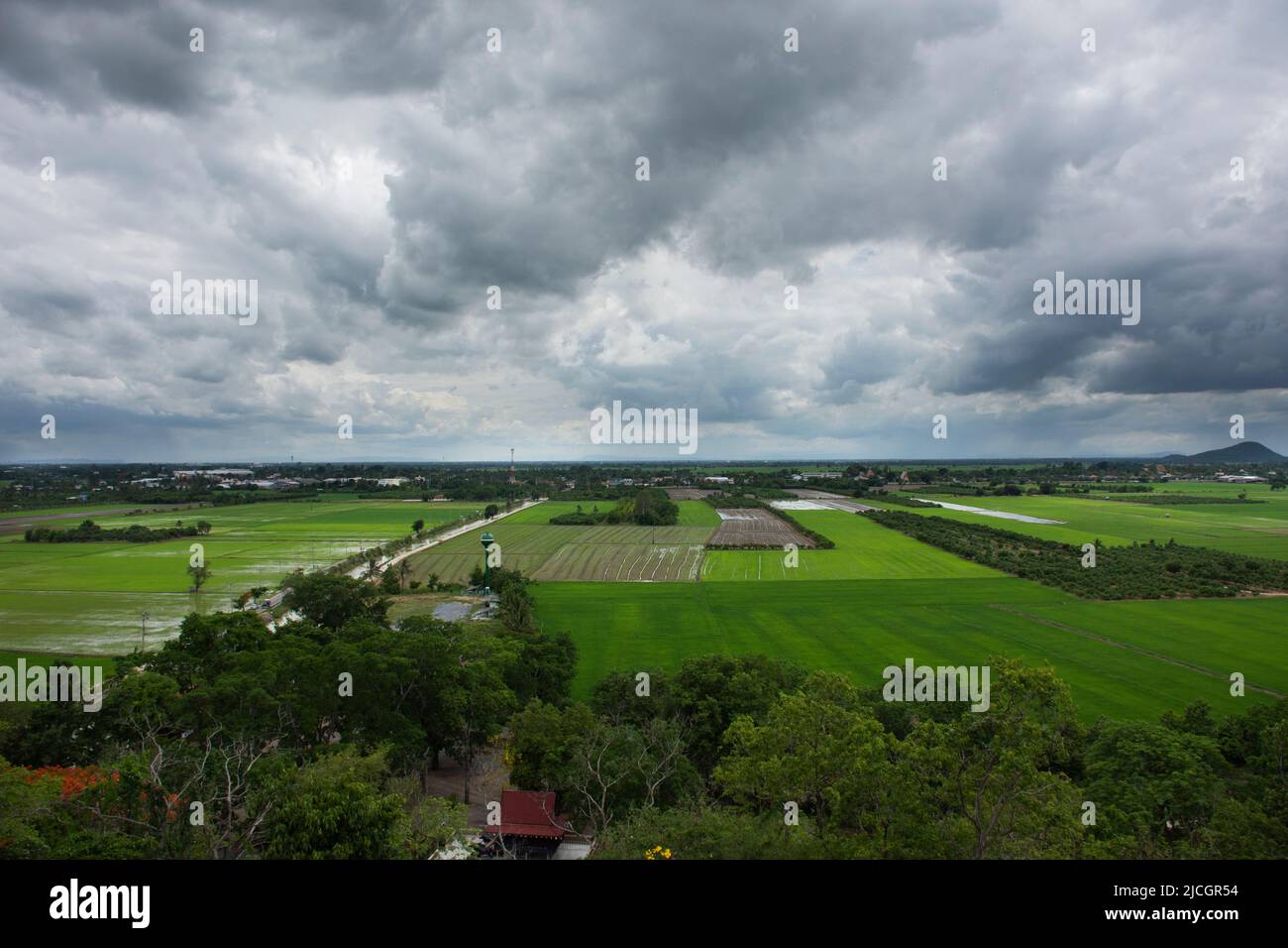 Aerial view landscape and rice field or paddy land from viewpoint of ...