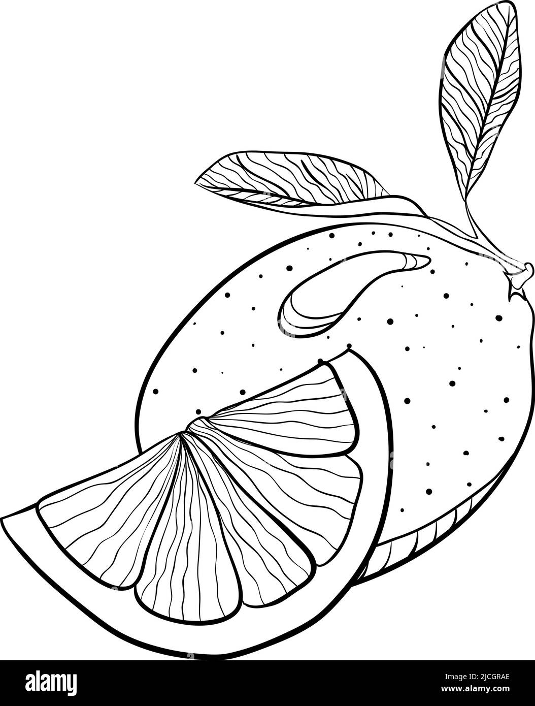 Lemon whole slice healthy Black and White Stock Photos & Images - Alamy