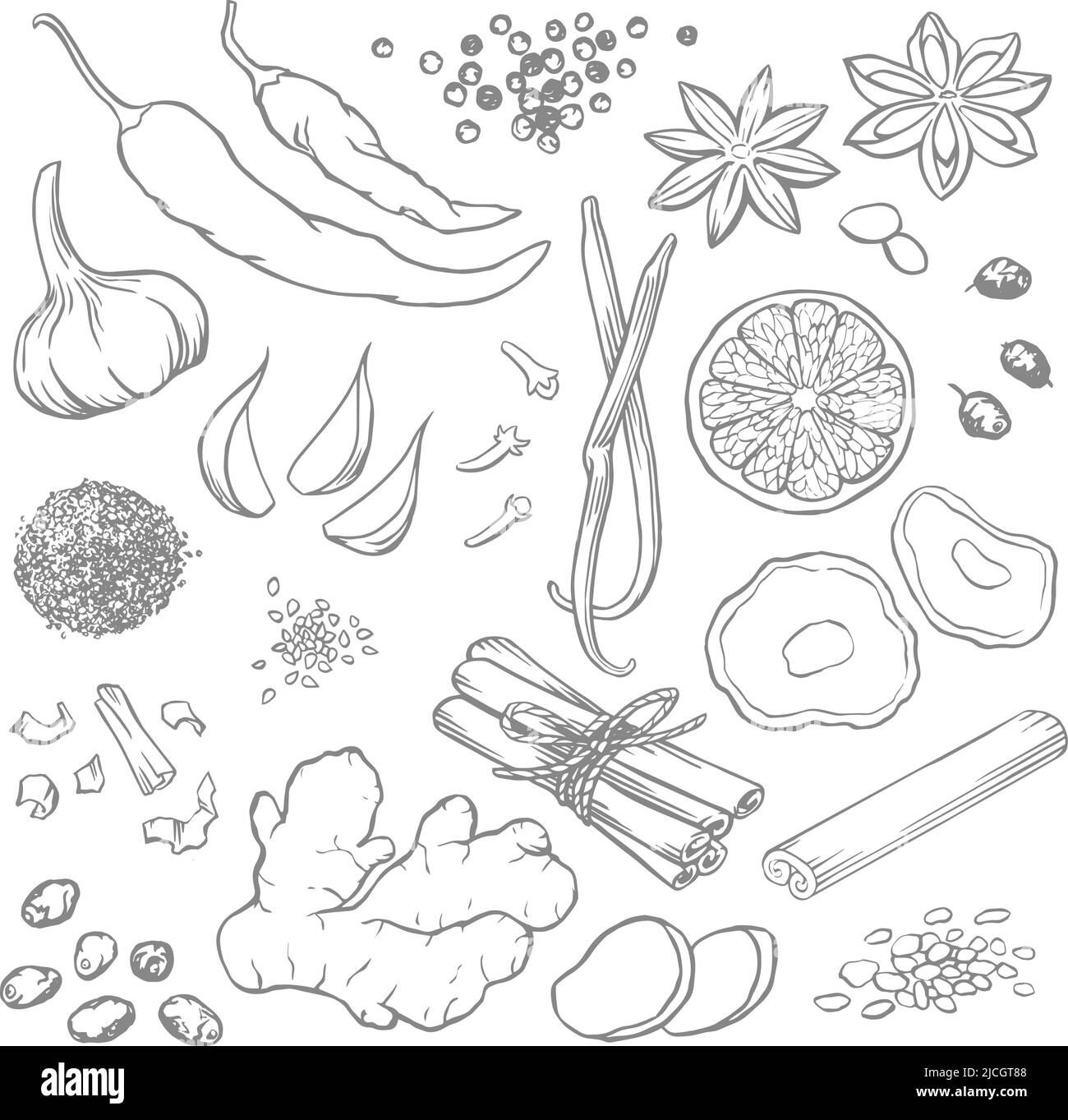 Set of elements for design, spices and seasonings, vector illustrations ...
