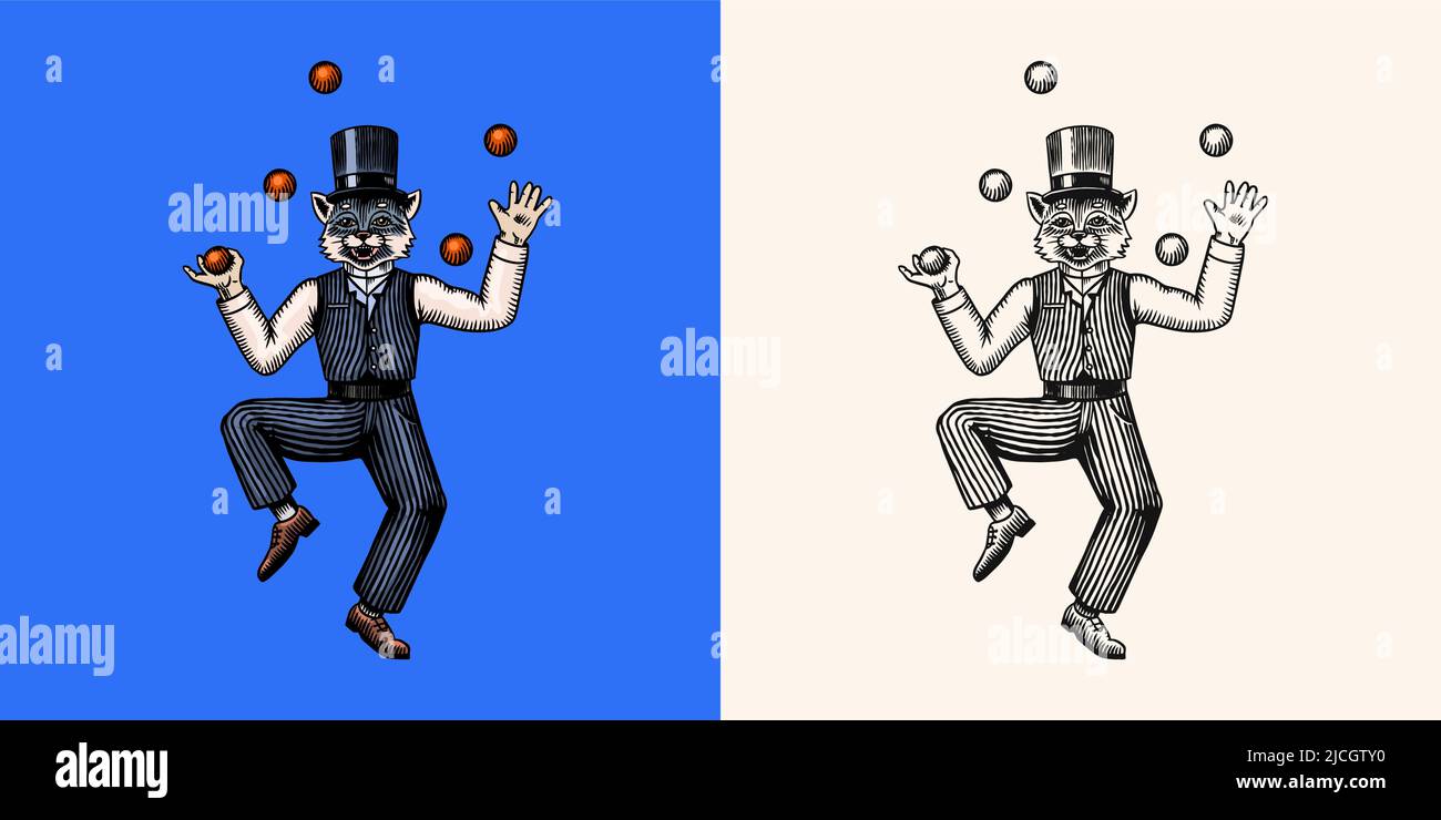 Cat juggler man in a suit and a hat with balls. Fashion animal ...