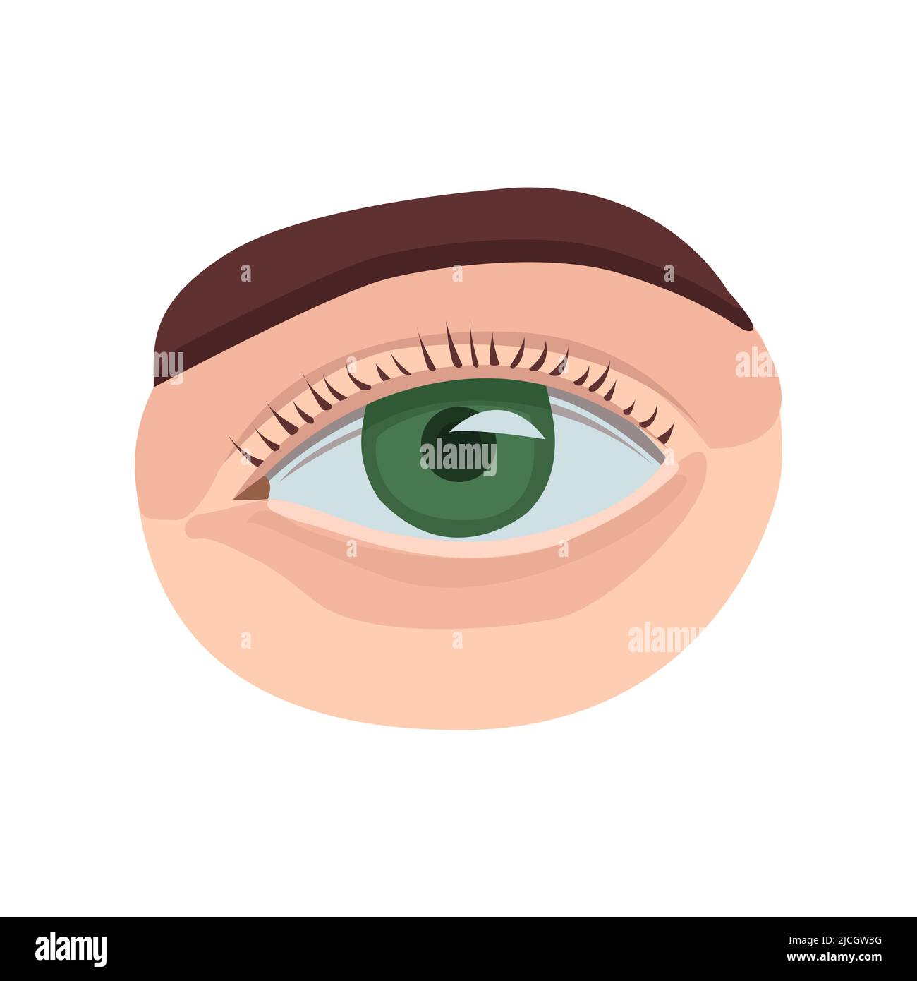 Human eye flat icon. Colored filled vector element from body parts ...