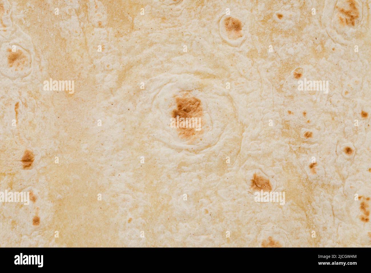 Plain wheat tortilla wraps. Spanish or Mexican circular unleavened ...