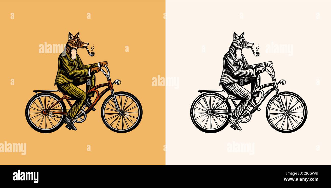 A fox with a pipe in a suit rides a bicycle and pedals. Fashion animal ...