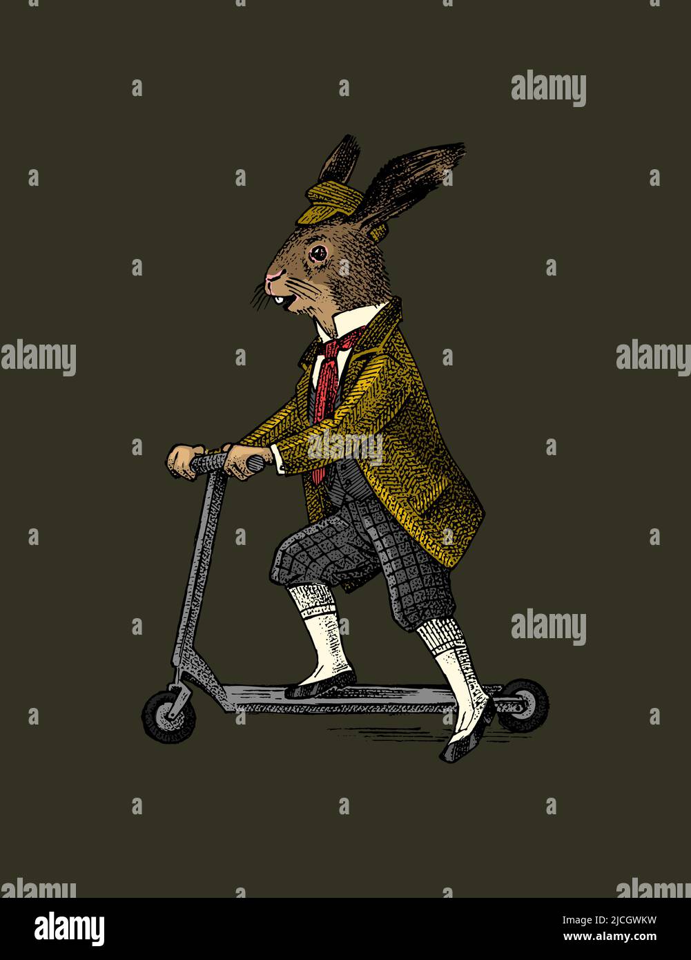 Hare or rabbit rides a scooter. Antique gentleman in a cap and coat ...