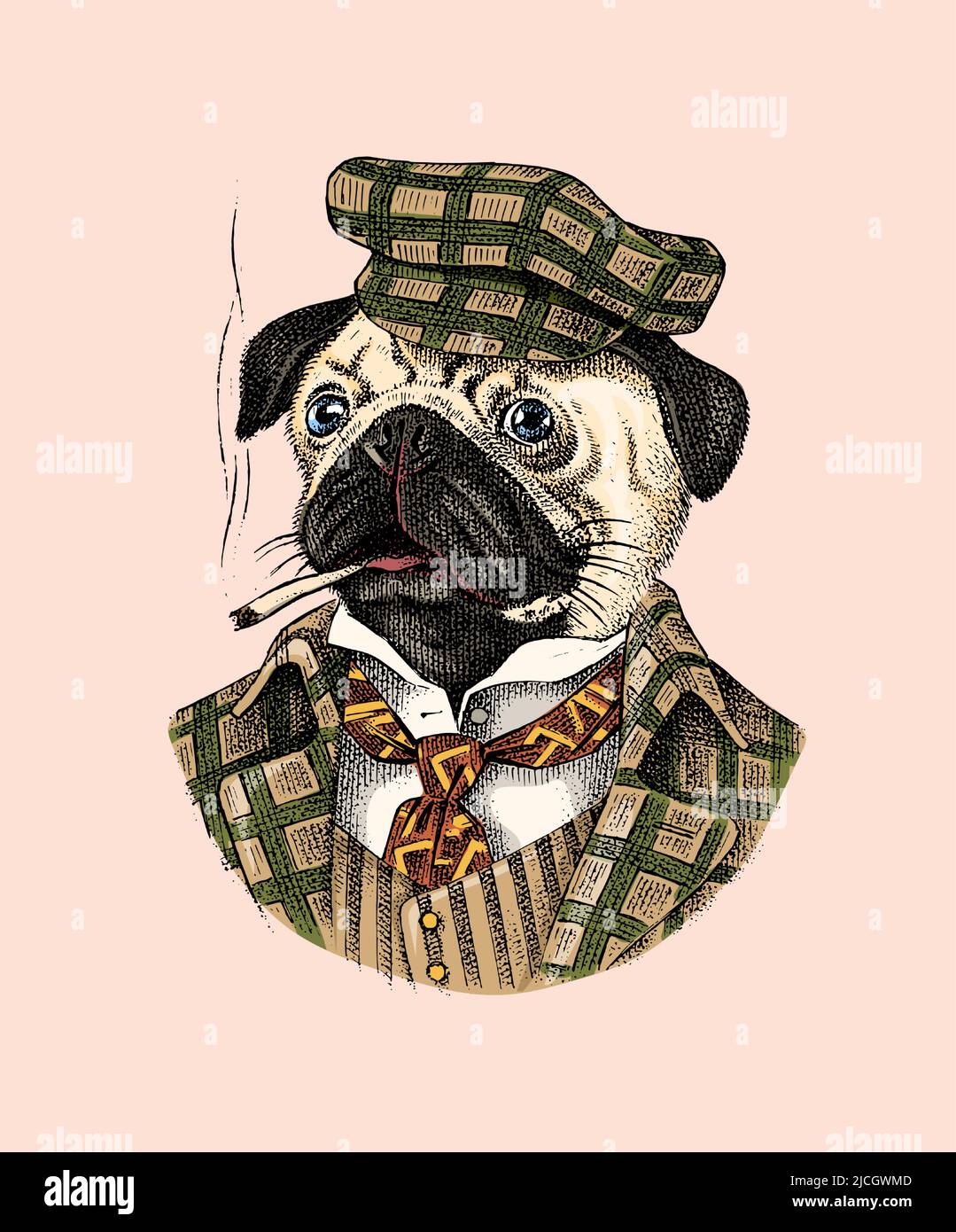 Pug Dog dog smokes a cigar in a tweed suit. Fashion Animal character in ...