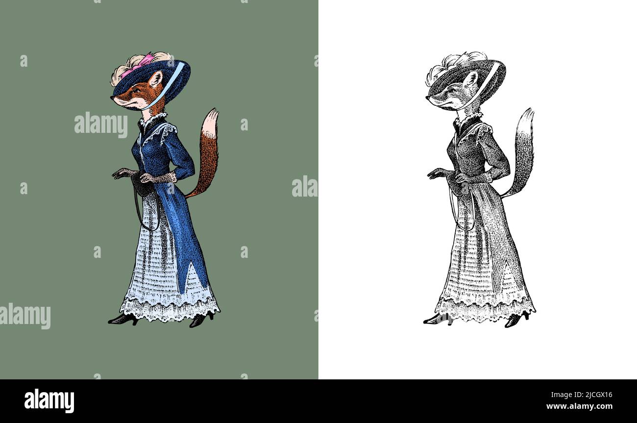 Fashionable fox in clothes. Antique lady. Victorian dame. Ancient Retro ...