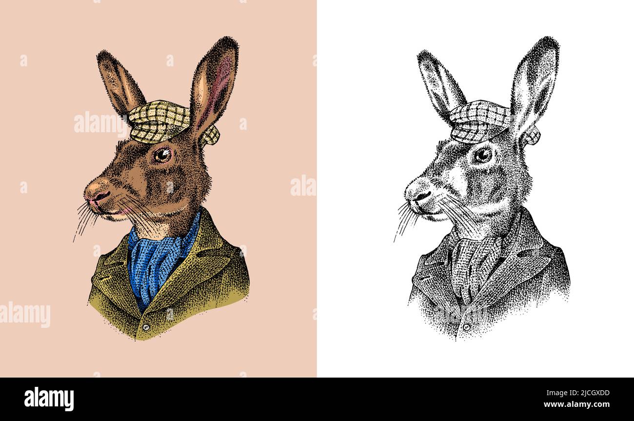 Hare or rabbit. Antique gentleman in a cap and coat. Victorian Ancient ...