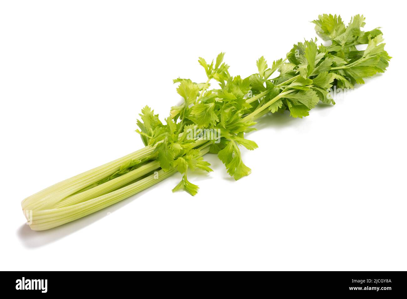 Fresh celery isolated on white background Stock Photo - Alamy