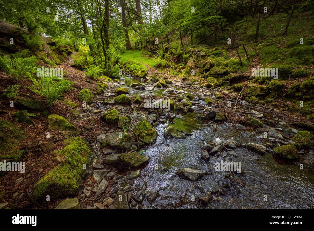 Tom Gill flowing from just below Tarn Hows in the spring, Lake District ...