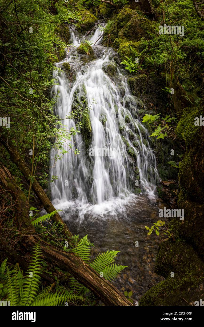 Tom gill waterfall spring hi-res stock photography and images - Alamy