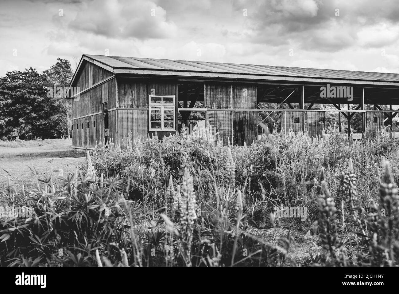 War museum holland hitler Black and White Stock Photos & Images - Alamy