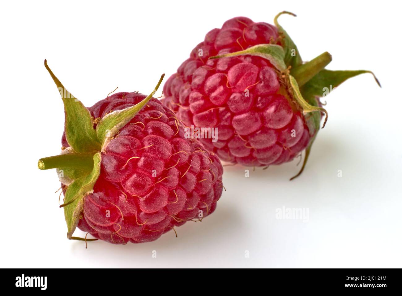 Two red raspberries with stalks isolated on white background Stock ...