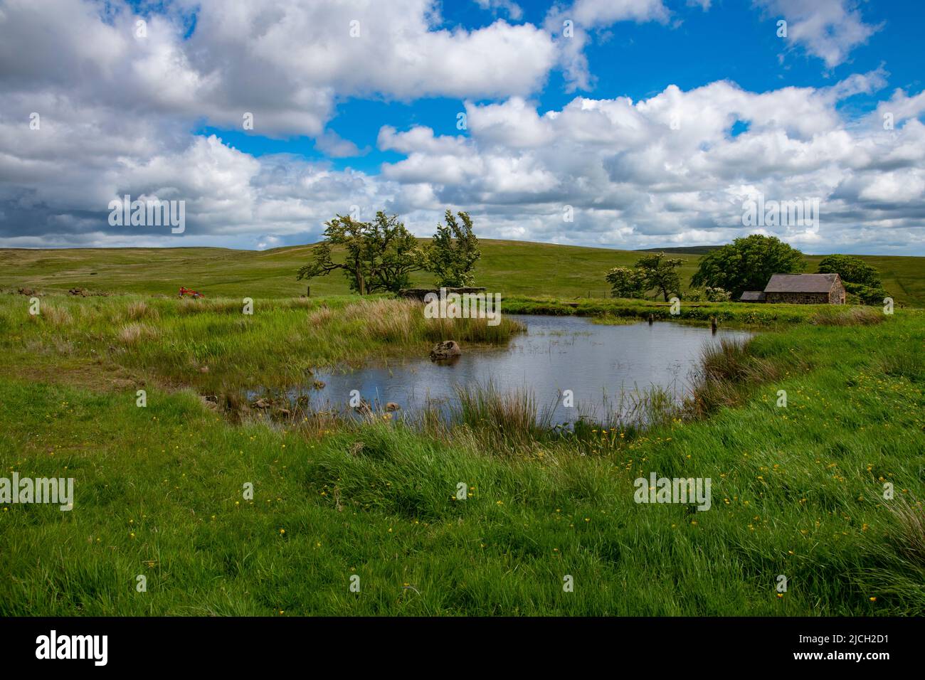 Divis mountain walk on the mountains overlooking Belfast, Northern ...