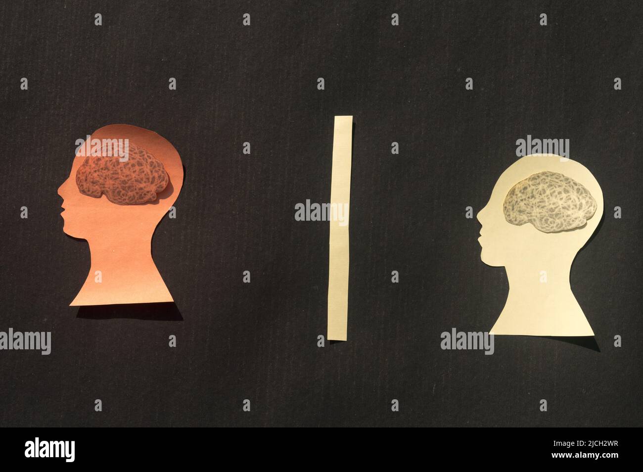 Two Separate People Human Brain Isolated Within Human Head. Paper ...