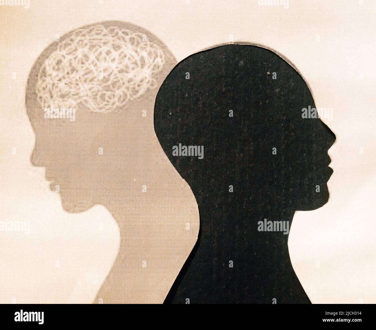 Human Brain Isolated Within Human Head and its shadow. Paper Abstract ...