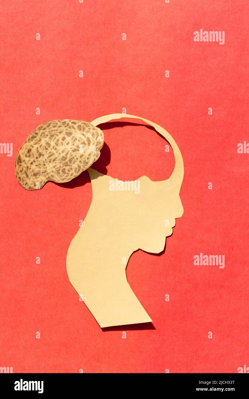 Human Brain Isolated Within Human Head. Paper Illustration. Feelings of ...
