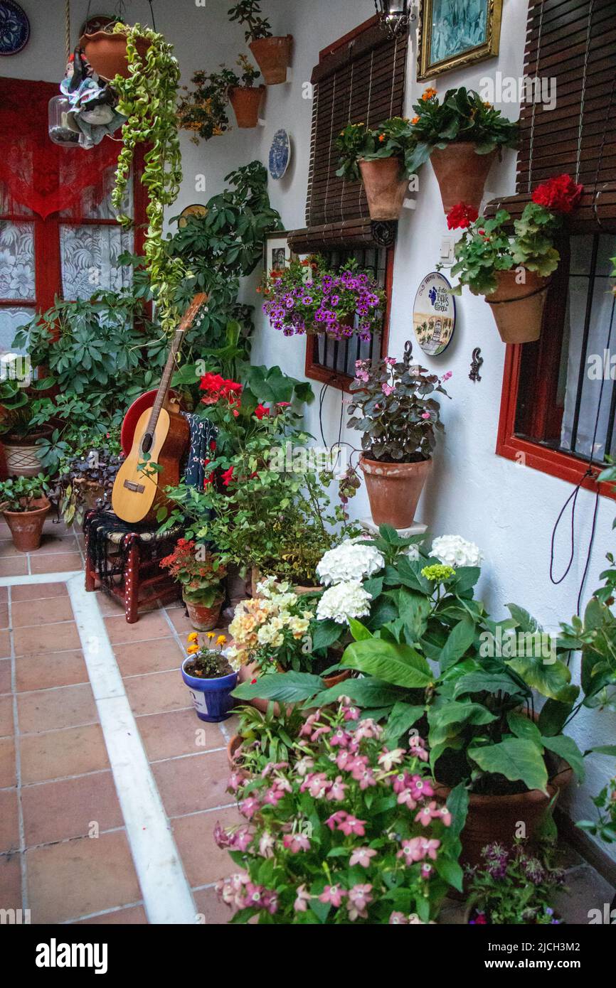 Macetas de plantas hi-res stock photography and images - Alamy