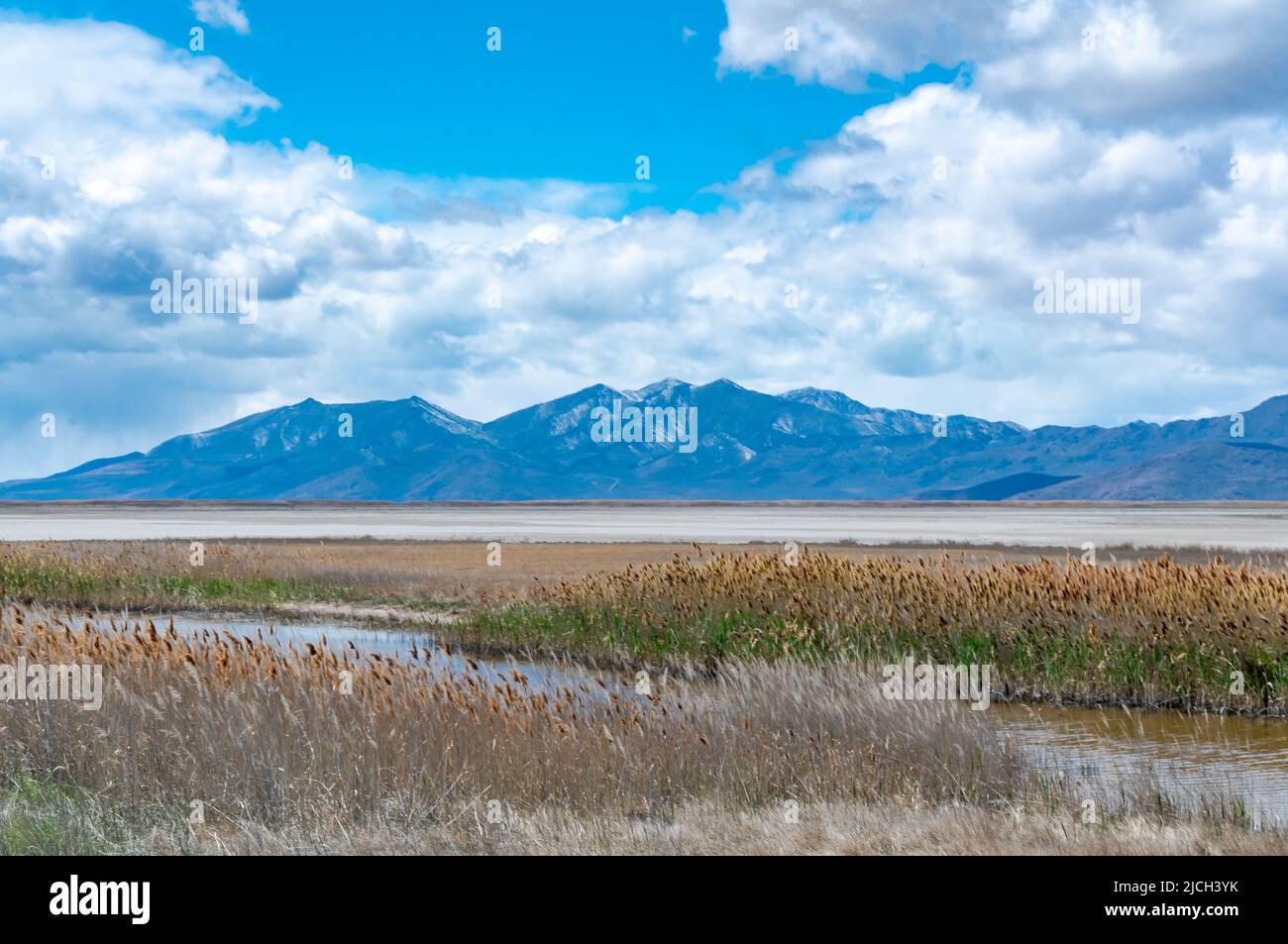Beautiful landscape of a river in tall meadow grass and mountains on ...