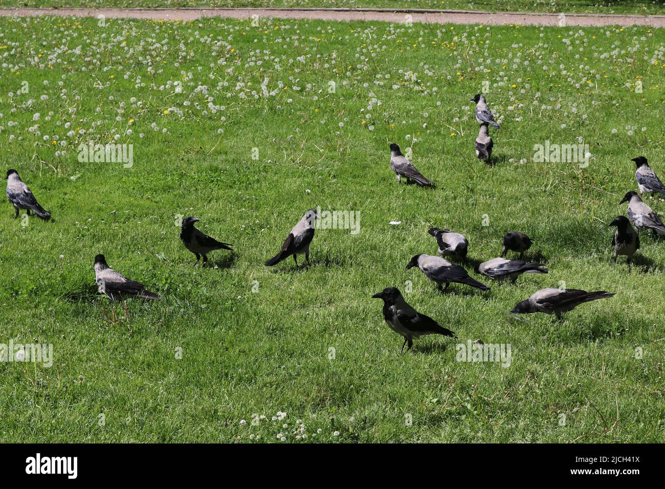 Russia. St. Petersburg and Leningrad region. Views of St. Petersburg ...