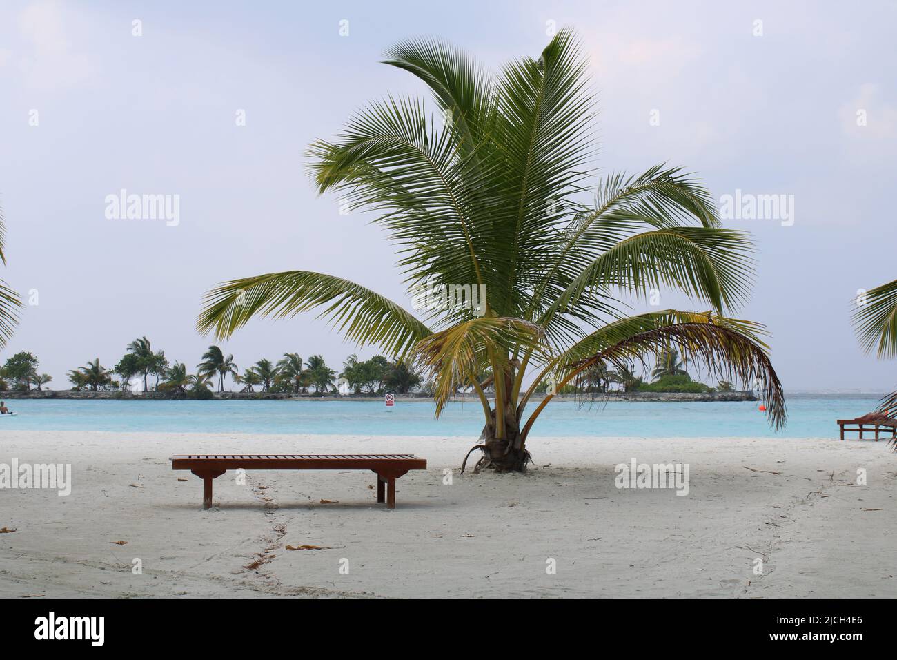 Maldives Beach Palm trees Stock Photo - Alamy