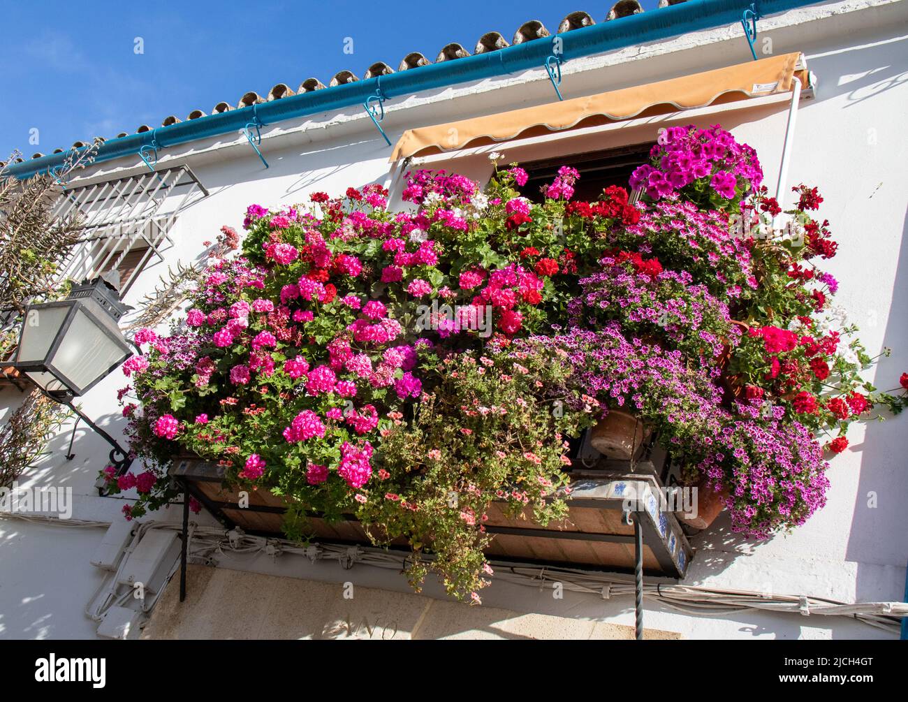 Balcón con macetas hi-res stock photography and images - Alamy