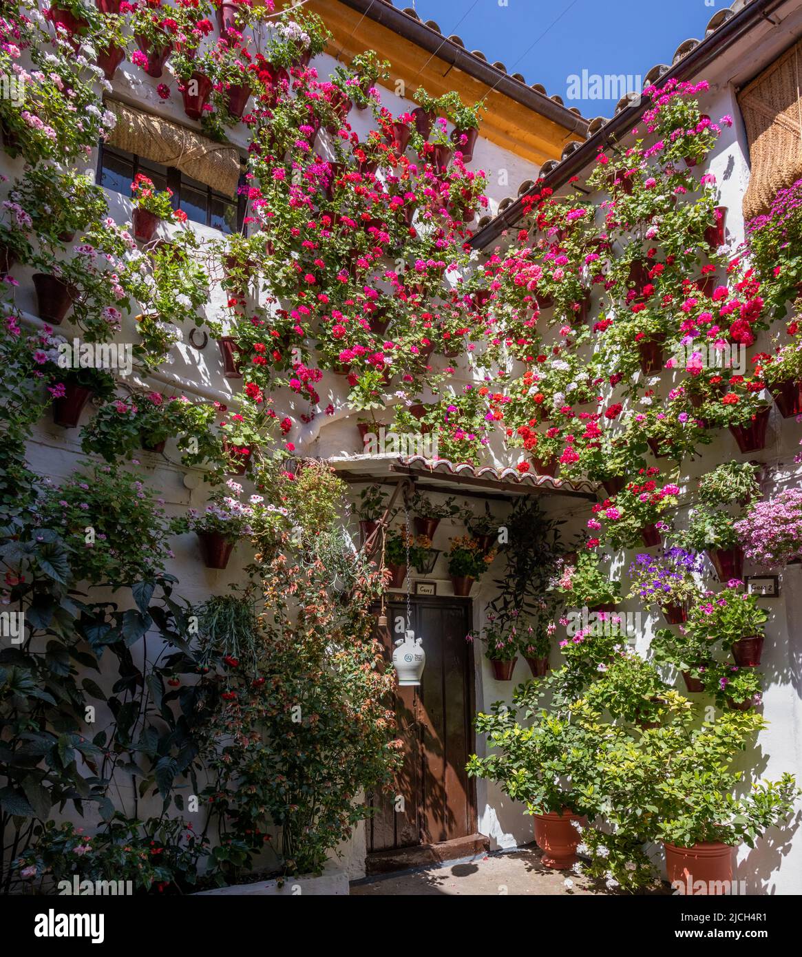 Plantas de macetas hi-res stock photography and images - Alamy