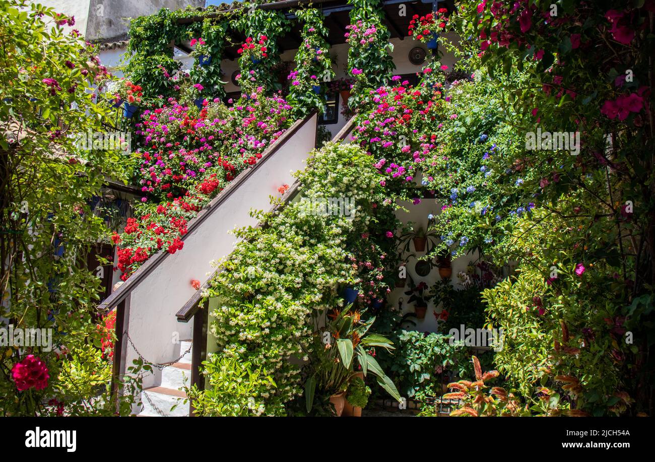 Escalera con flores hi-res stock photography and images - Alamy