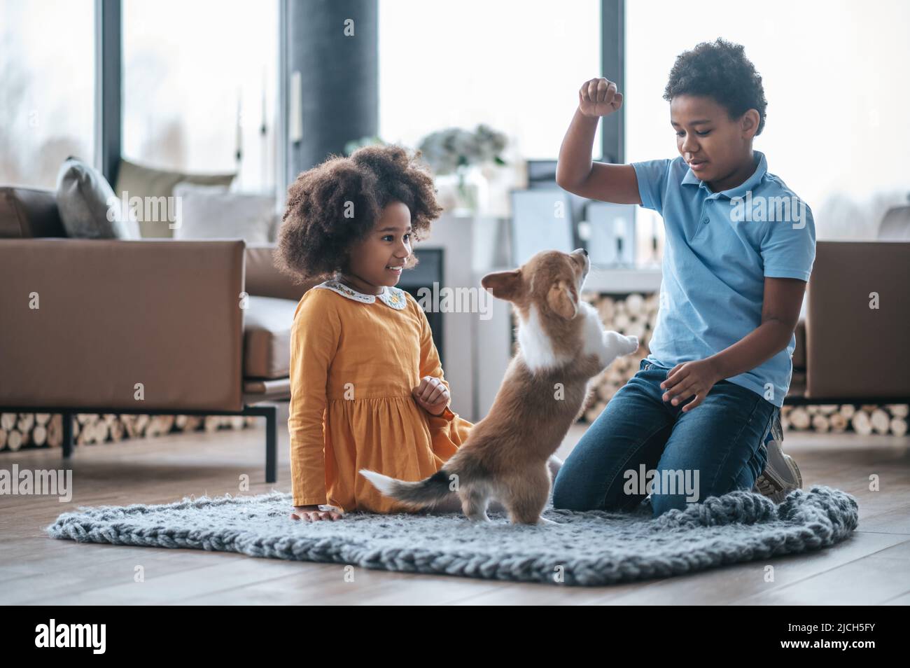Two kids training the little dog and looking involved Stock Photo - Alamy