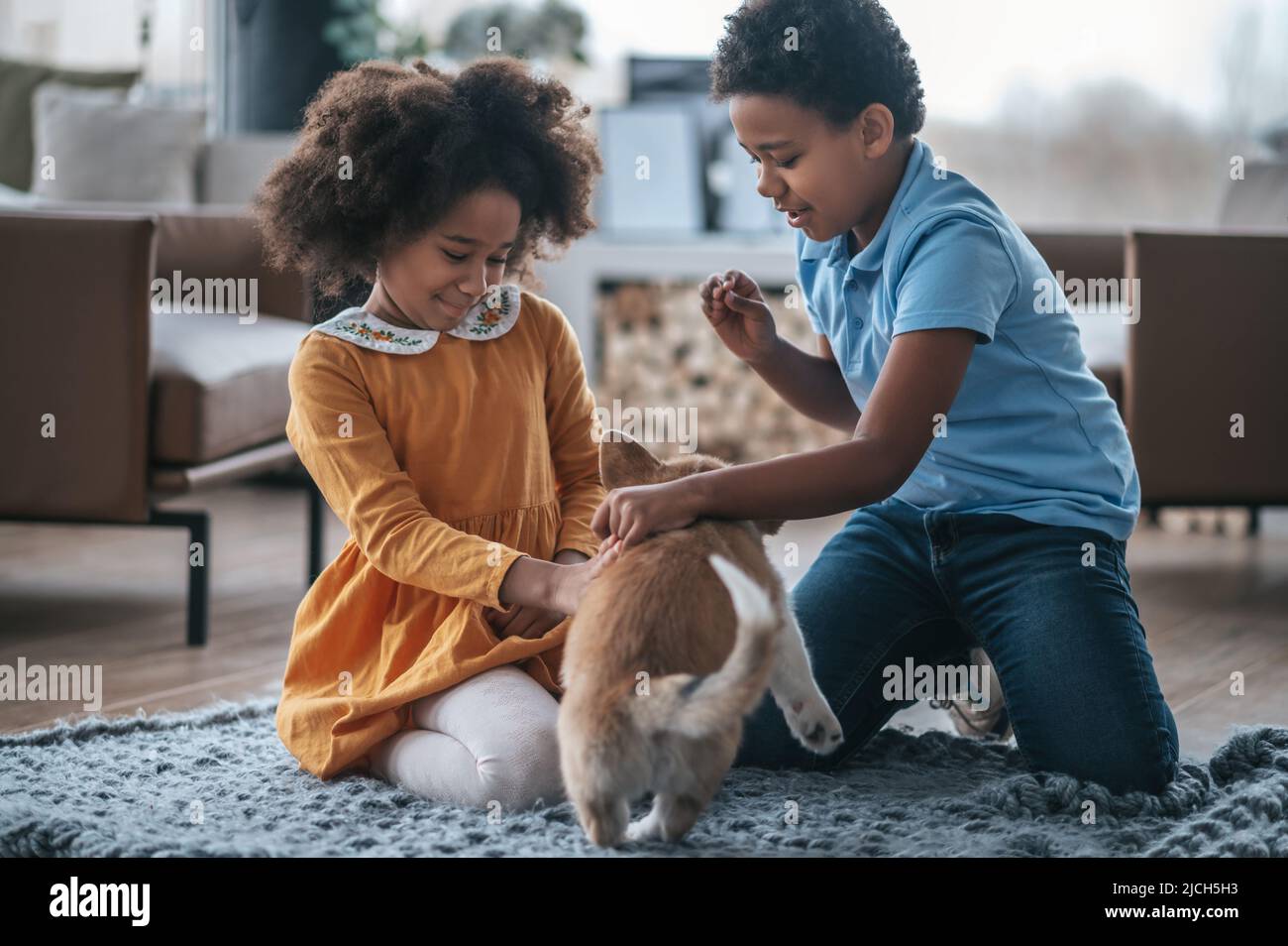African teen girl dog hi-res stock photography and images - Alamy