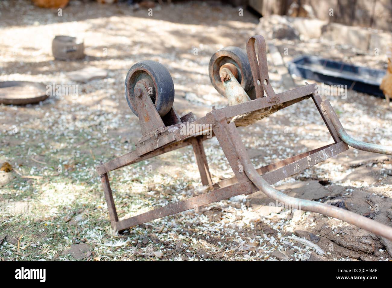Destroyed garden hi-res stock photography and images - Alamy