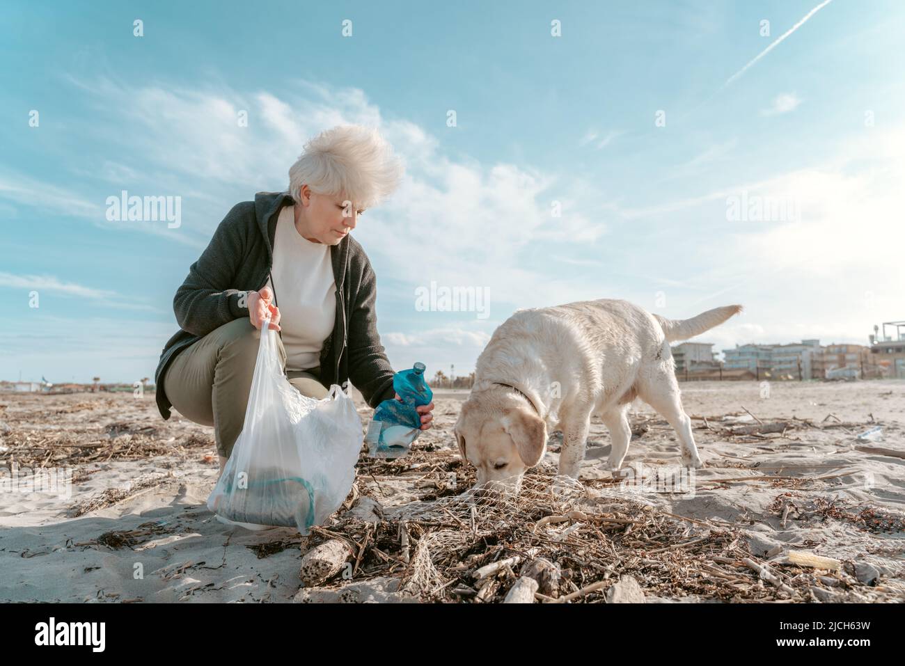 Dog and a woman collecting rubbish on the beach Stock Photo - Alamy
