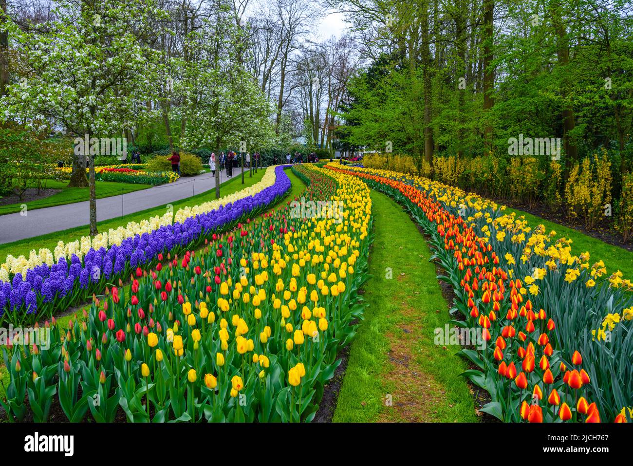 Keukenhof park, Lisse, Holland, Netherlands Stock Photo - Alamy