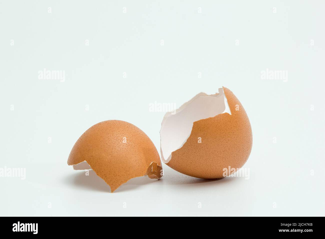egg shell on white background Stock Photo - Alamy