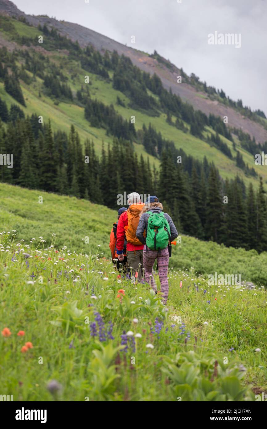 Group of people walking uphill hi-res stock photography and images - Alamy