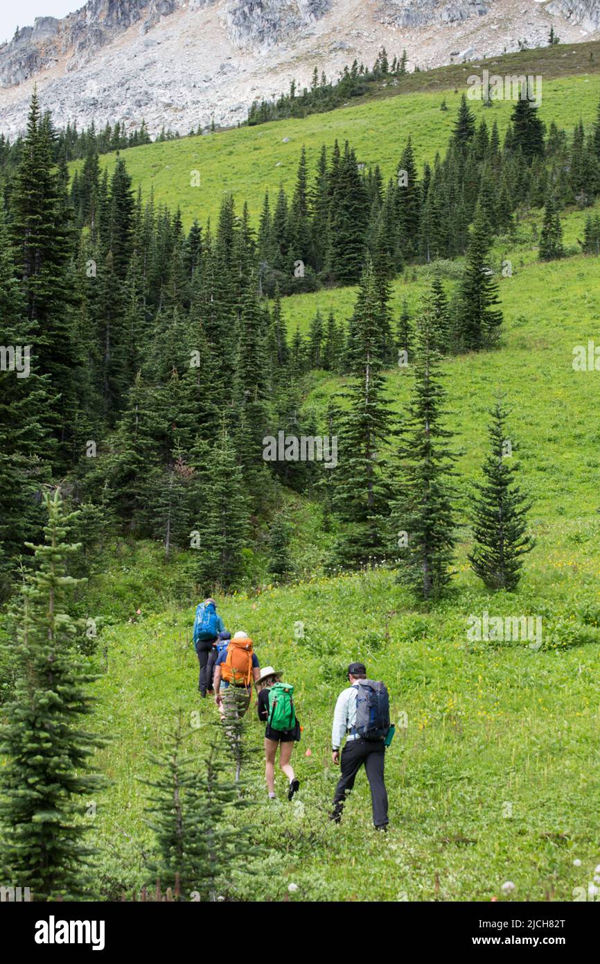 Group of alpine hikers hi-res stock photography and images - Alamy