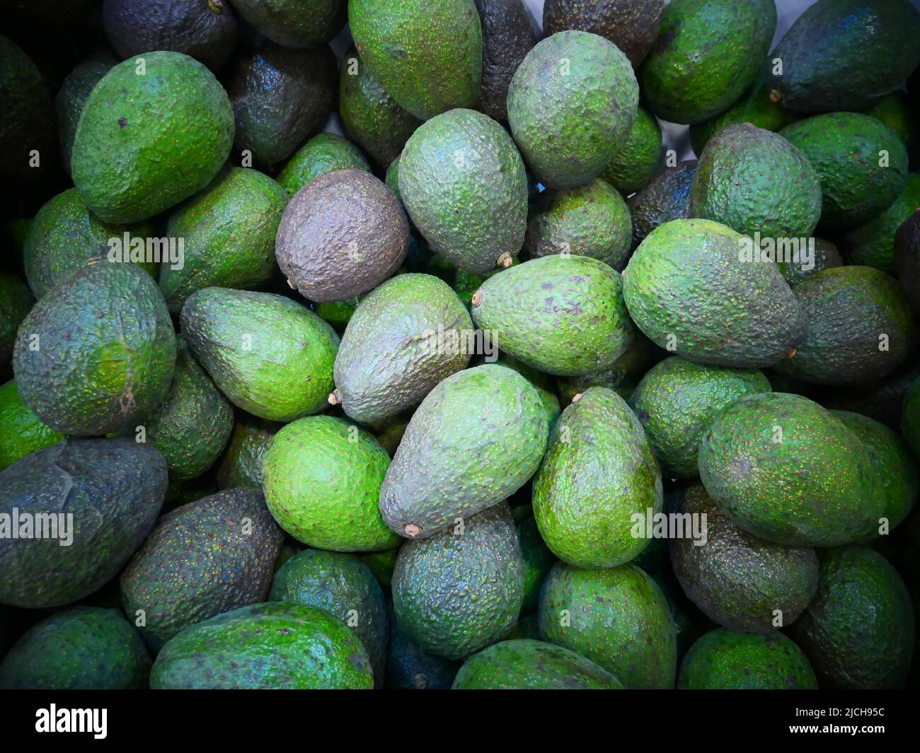 Berlin, Germany. 07th Apr, 2022. Avocados at Fruit Logistica, the ...